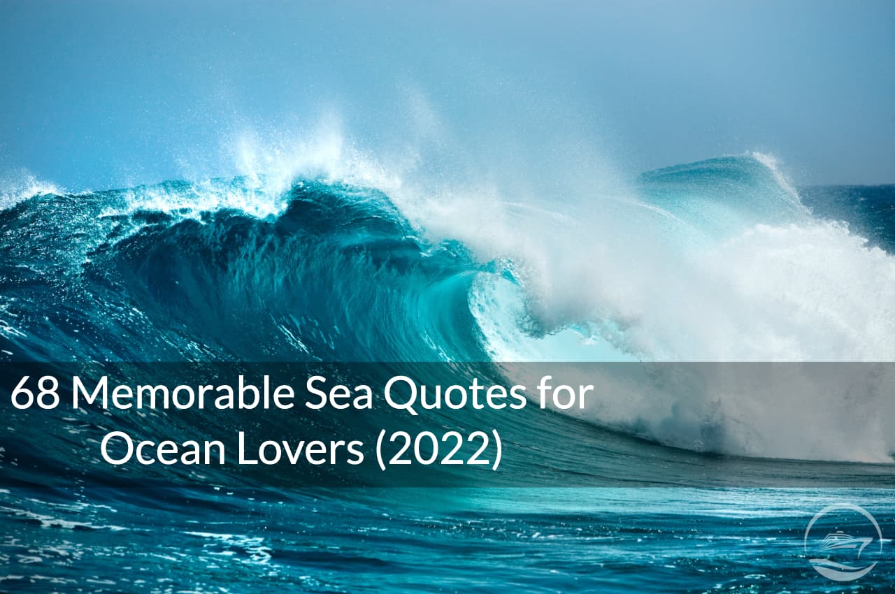 BeyondCruise Your Guide To All Things Cruising BeyondCruise Your Guide To All Things Cruising
